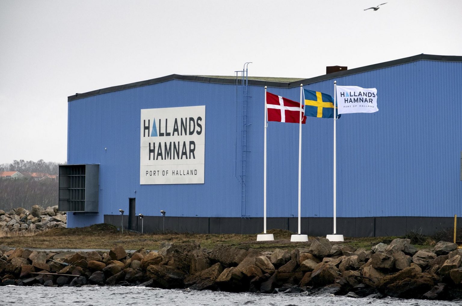 Folkfest i Halmstad när Stena Line invigde nya färjelinjen till Grenå ...