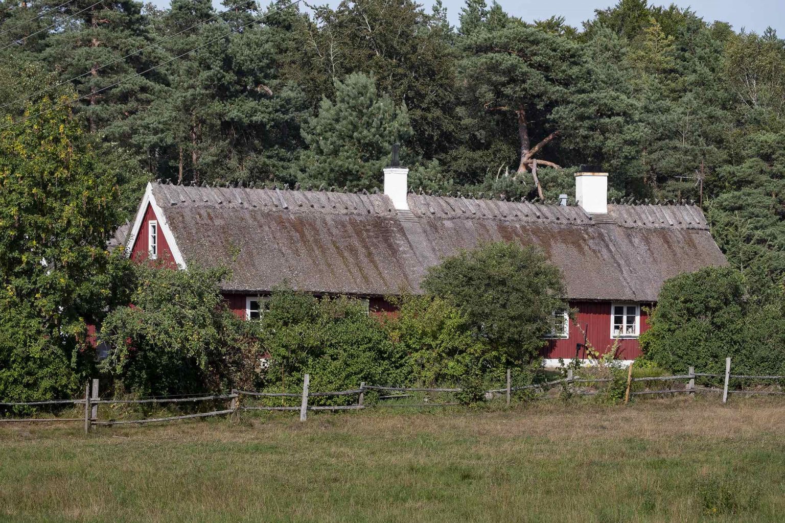 Nytt stärkt system för samordningsnummer införs 2023 – danska torpare ...